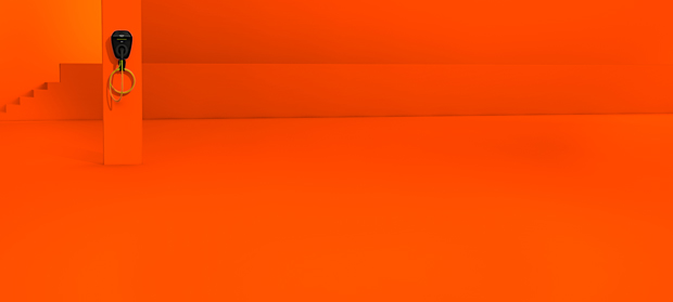 CONOCE LA FAMILIA MINI