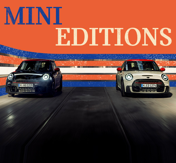 65 MINI Facts