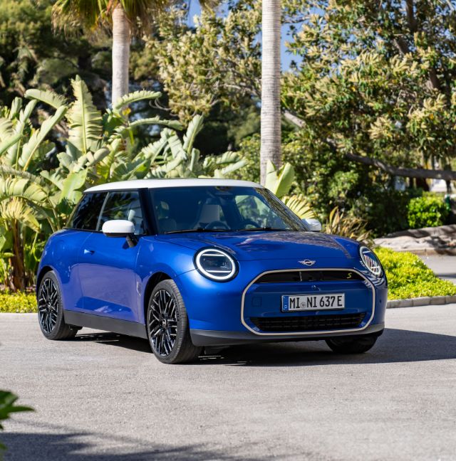 CONOCE LA FAMILIA MINI