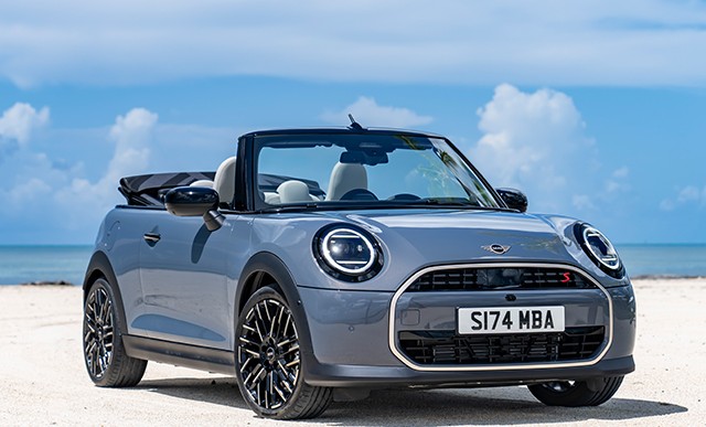 CONOCE LA FAMILIA MINI